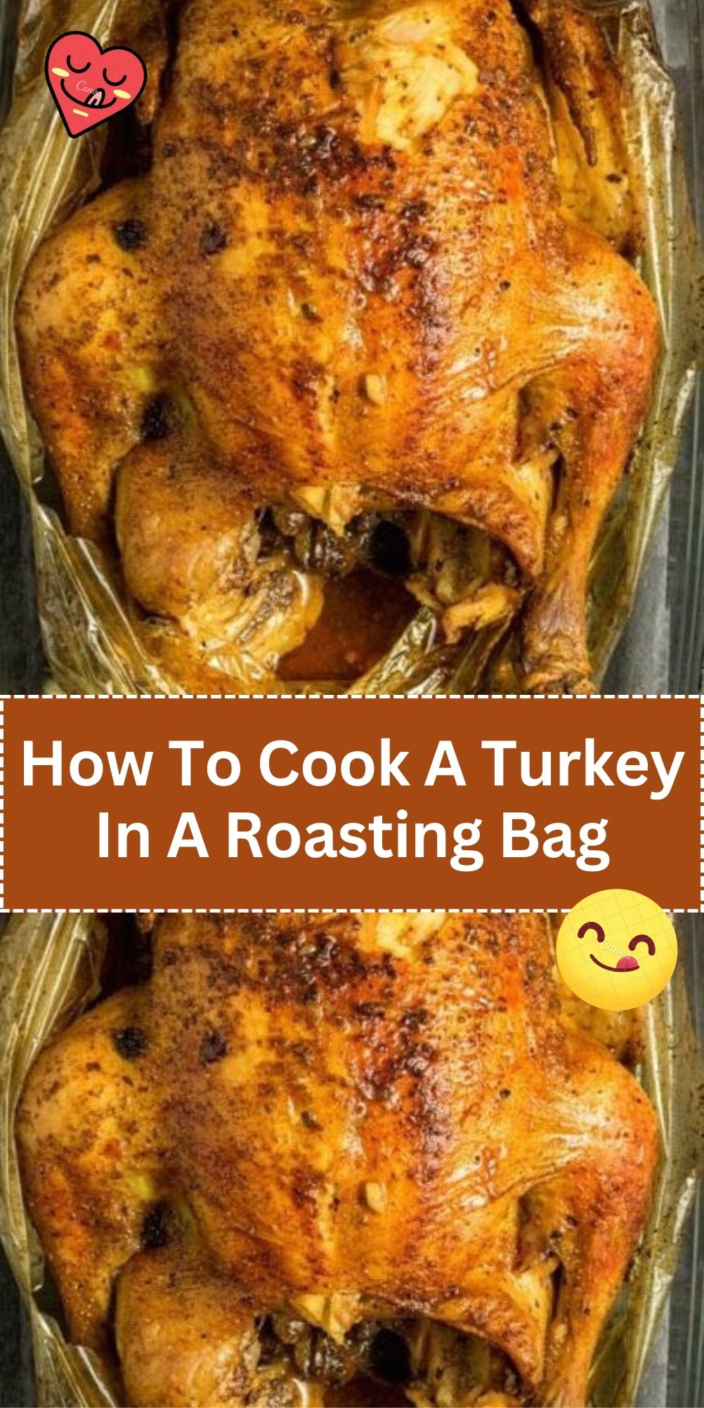 How To Cook A Turkey In A Roasting Bag